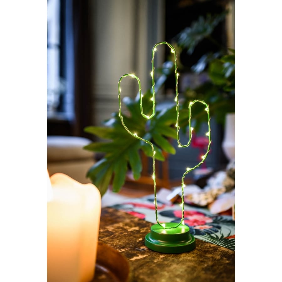 Contour de cactus vert lumineux de 40 cm