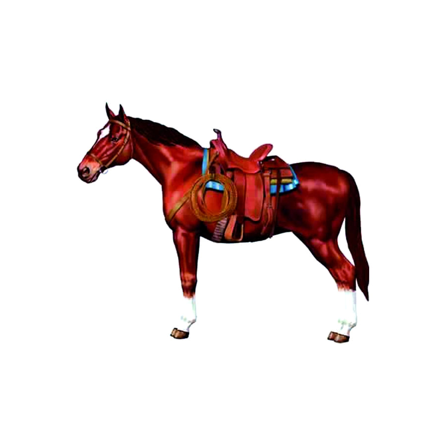 Cheval en carton